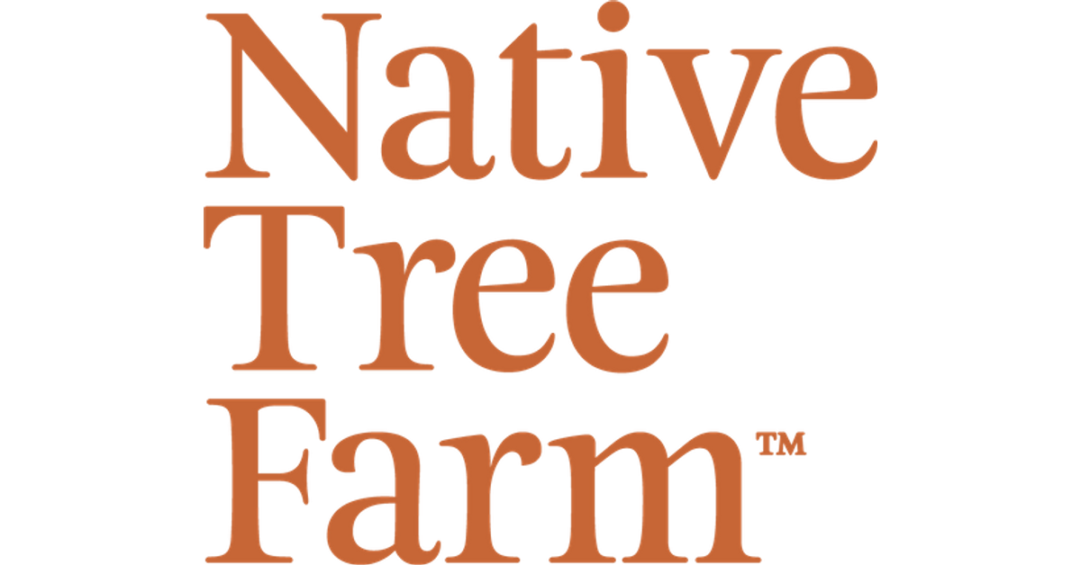 Kawakawa – Native Tree Farm™
